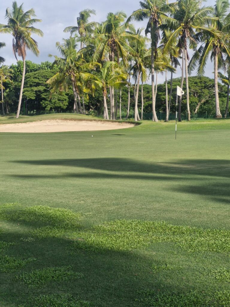 Golfing in Fiji - Is Denarau Golf Course Fiji worth playing? | Luxury ...